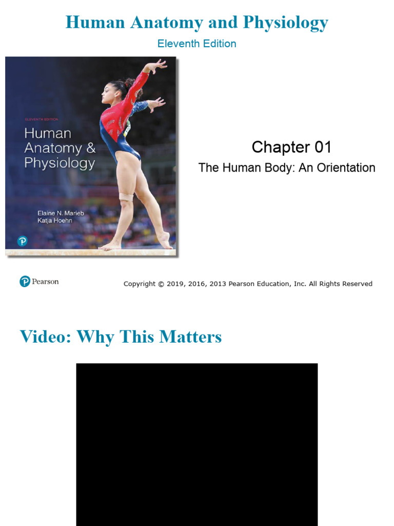 CHP 1 | PDF | Homeostasis | Anatomy