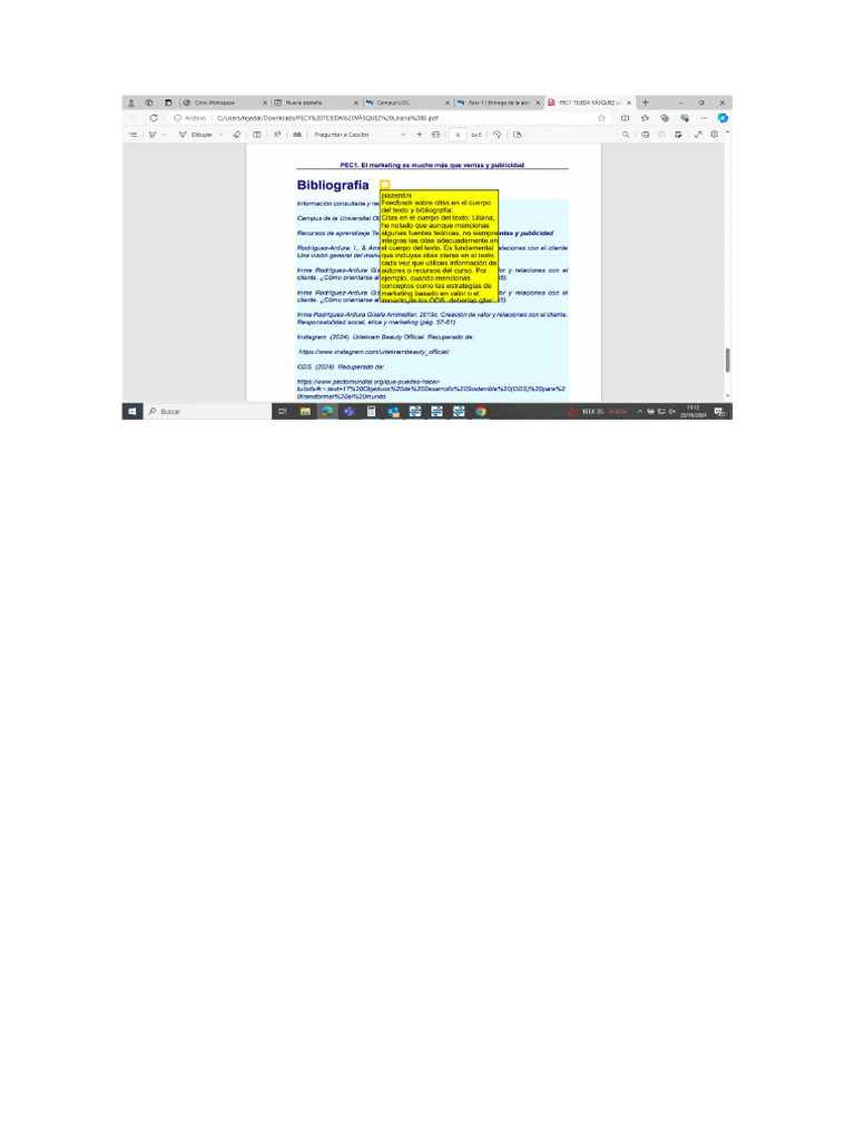 Feeback | PDF