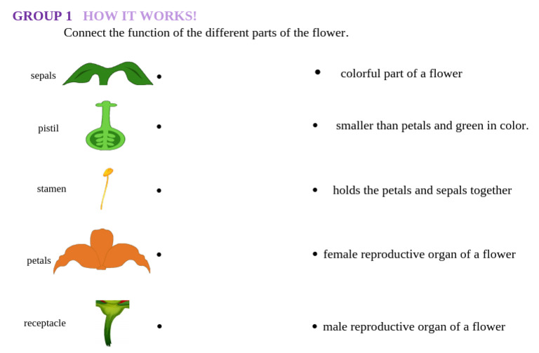 Group 1 How It Works | PDF | Science & Mathematics