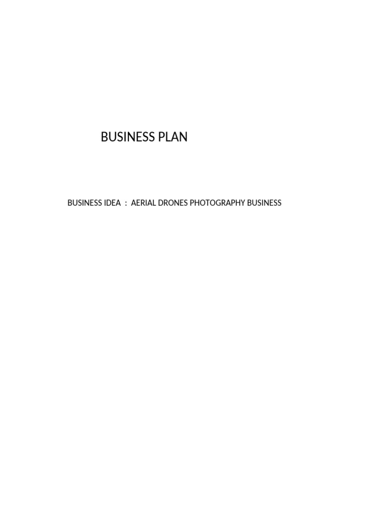 Executive Summa-WPS Office | PDF | Aerial Photography | Business