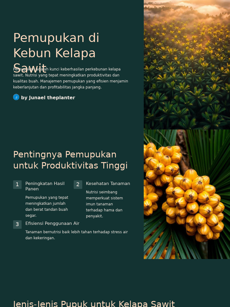 Pemupukan Di Kebun Kelapa Sawit | PDF