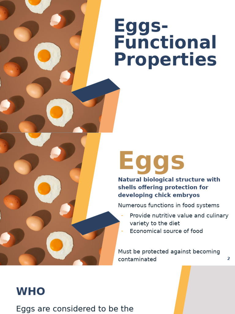Students Eggs - Functional Properties | PDF | Egg White | Yolk