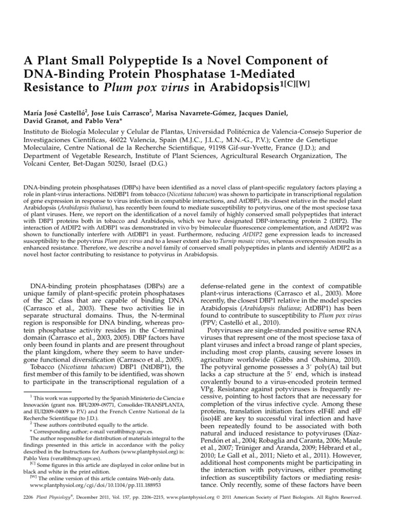 DIP2, 2011. Plant Physiology | PDF | Gene Expression | Real Time Polymerase Chain Reaction