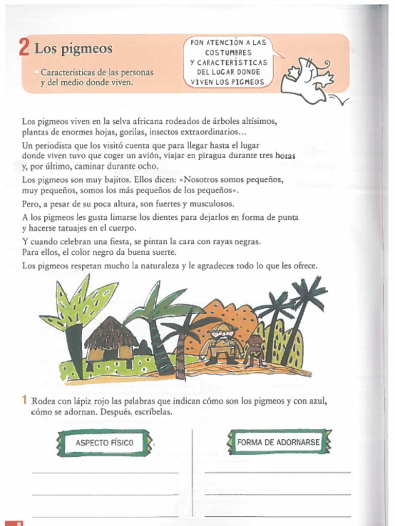 Lecturas de Comprensión para Tercero A | PDF