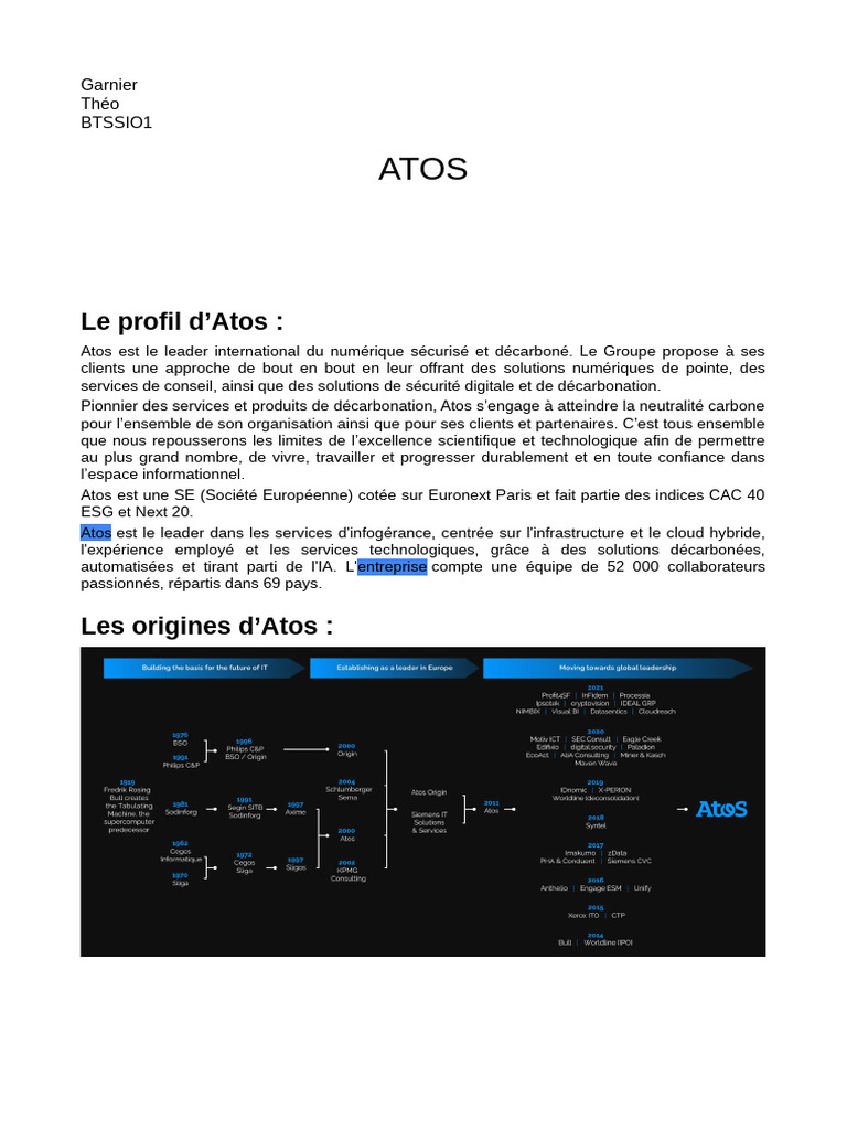 Garnier Theo Atos | PDF | Affaires | Finance et gestion monétaire