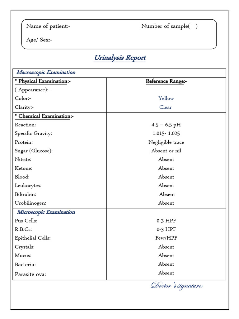 Urinalysis Report | PDF