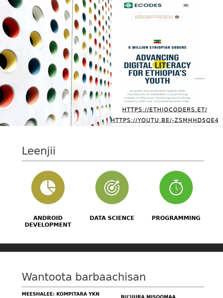 Ethio Coders | PDF | Computers