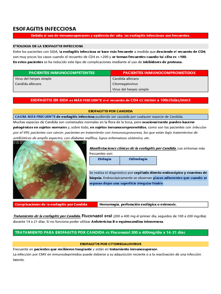 Esofagitis Infecciosa | PDF | Alergia | Especialidades Medicas