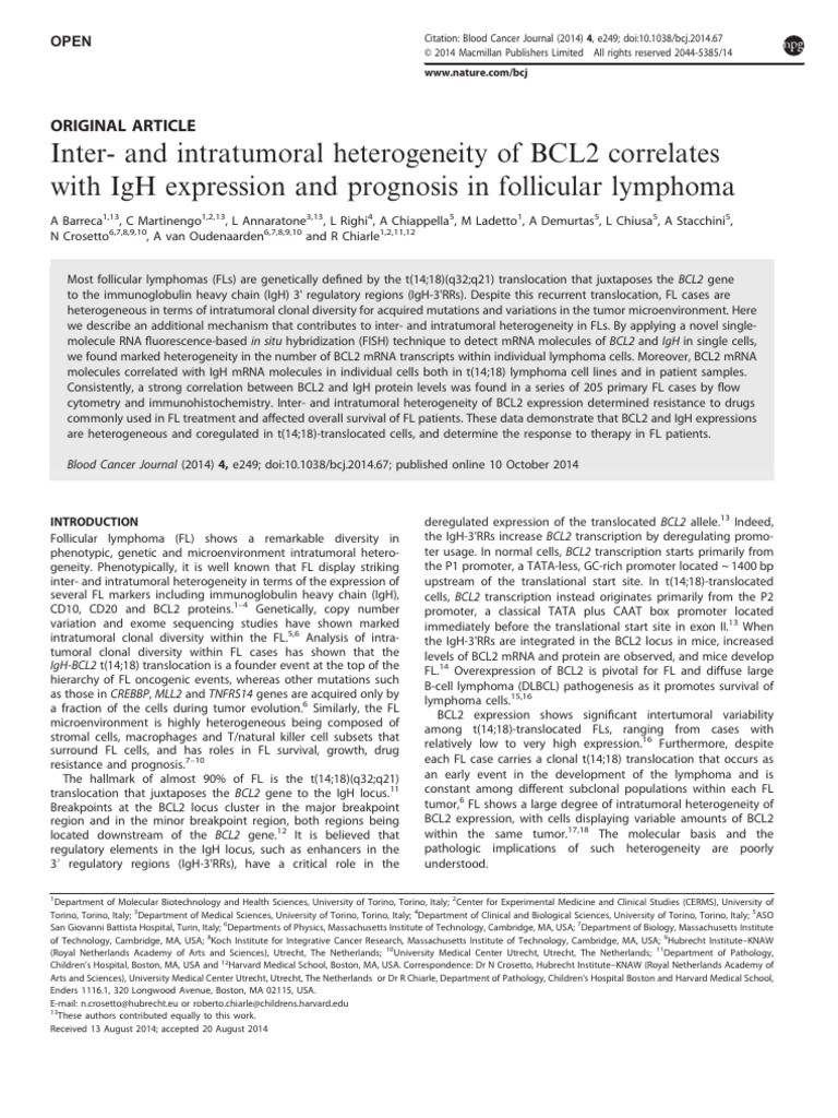 bcl2 Diversidad Intra e Intertumoral | PDF | Bcl 2 | Immunohistochemistry