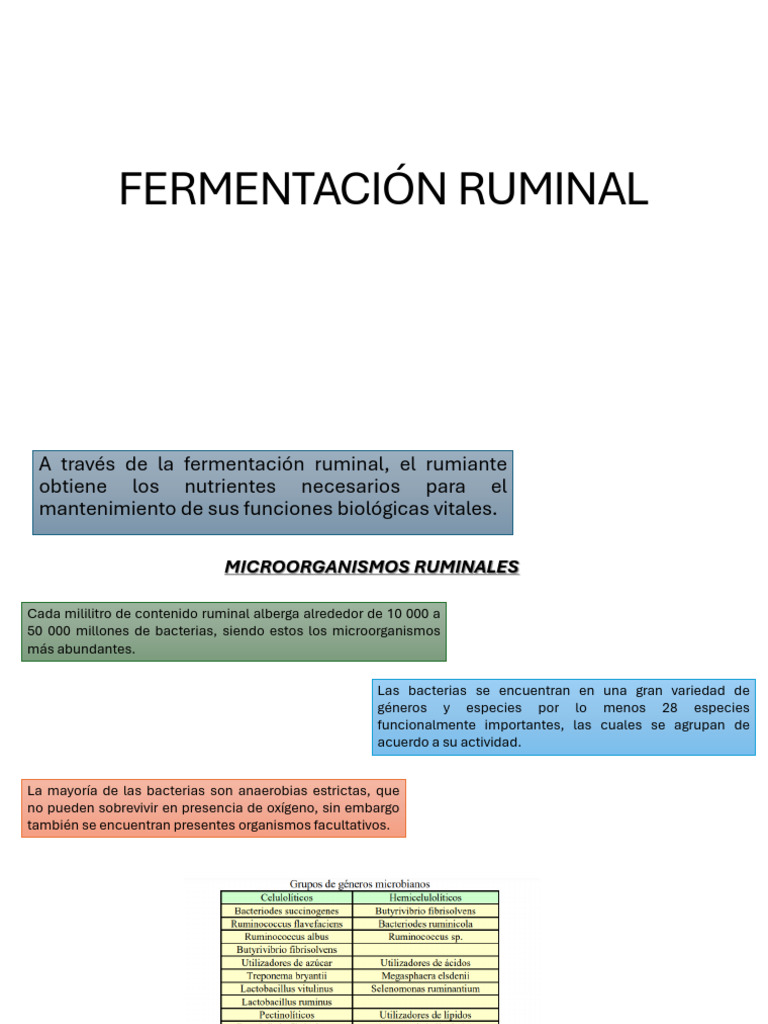 Fermentación Ruminal | PDF | Metabolismo | Las bacterias