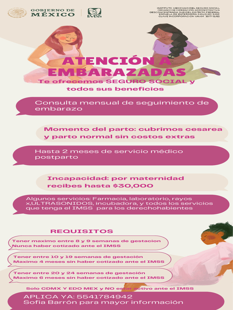 Infografía Embarazo Dudas y Consejos Madres Ilustrada Sencilla Ordenada ...