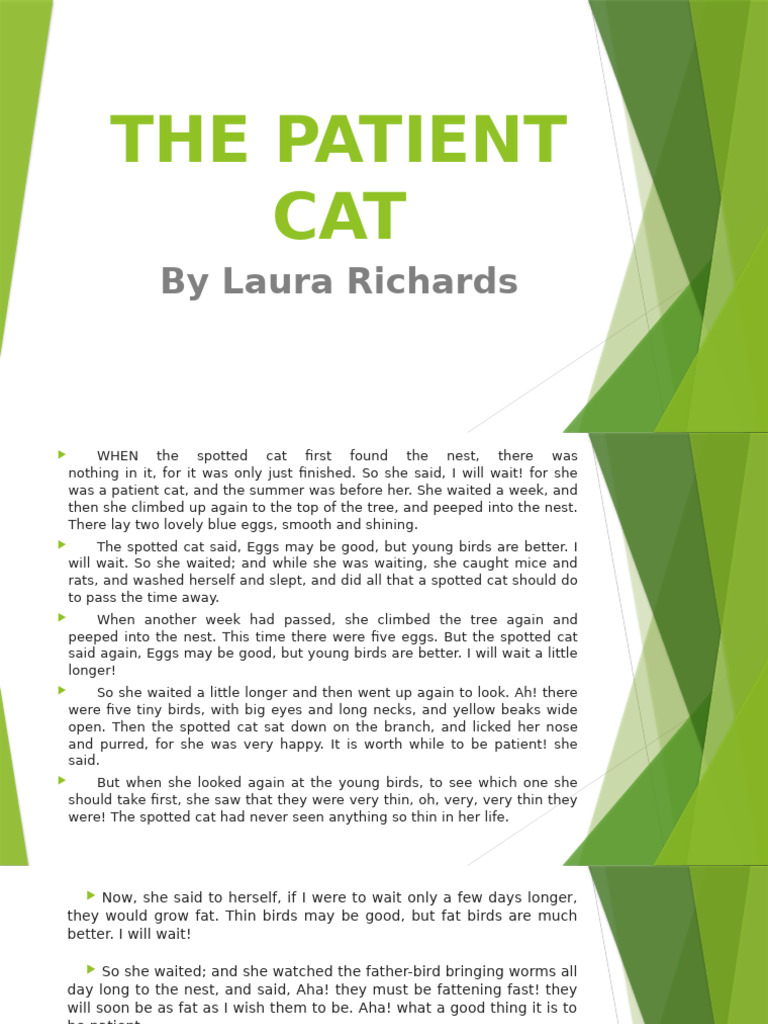 The Patient Cat | PDF