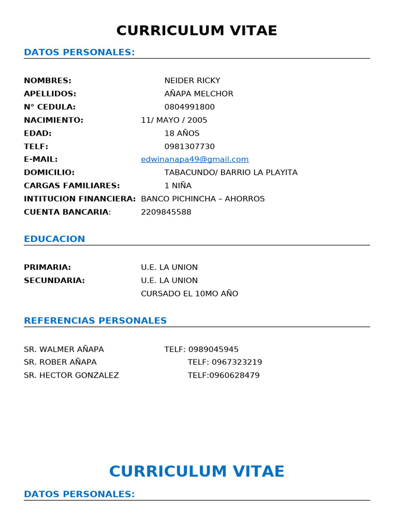 Curriculum Vitae 2024 | PDF