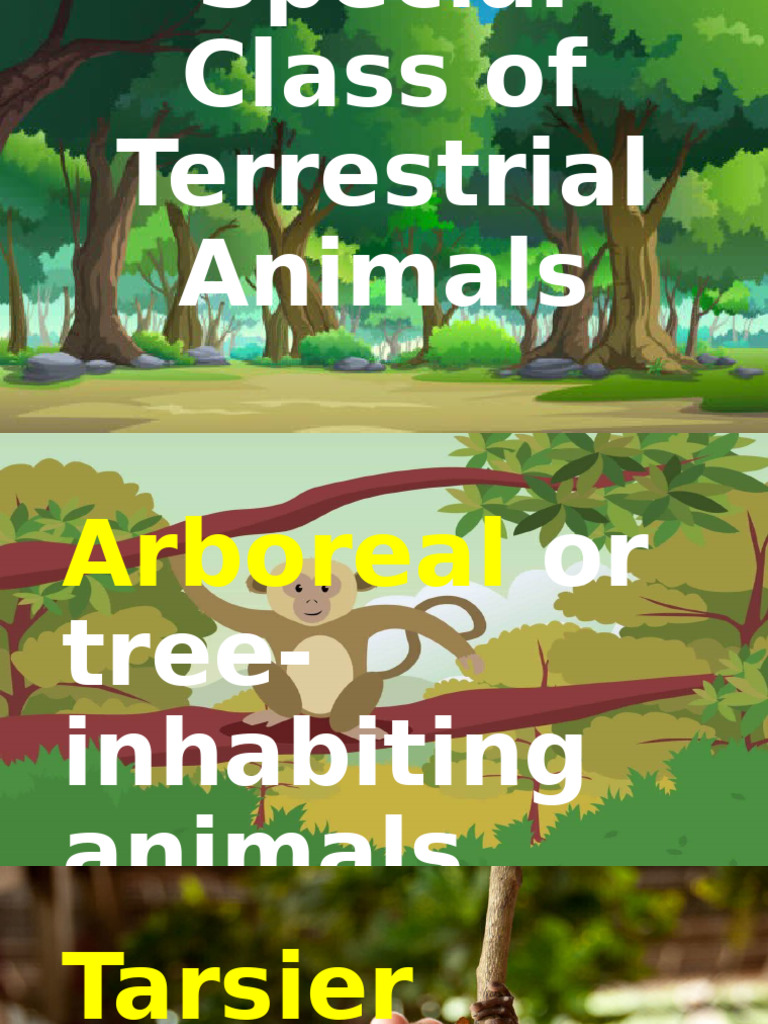 Special Class of Terrestrial Animals | PDF