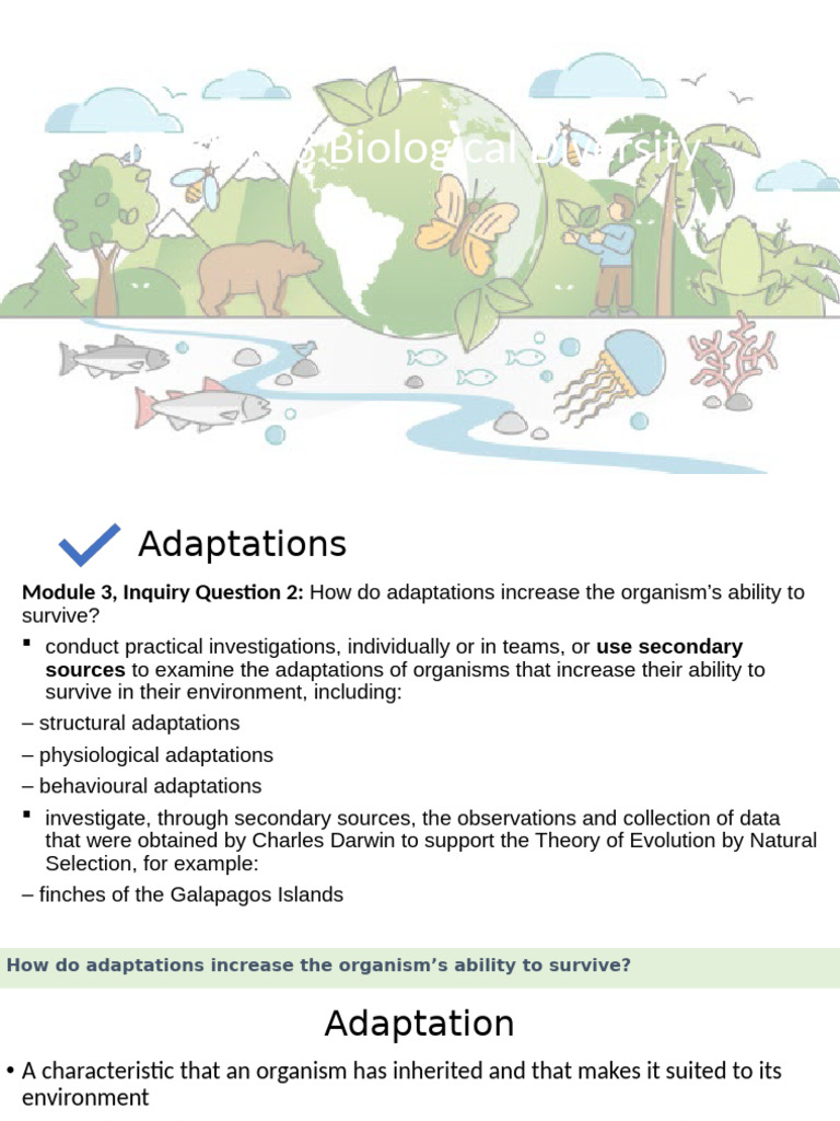 M3IQ2 - Adaptations | PDF | Adaptation | Plants