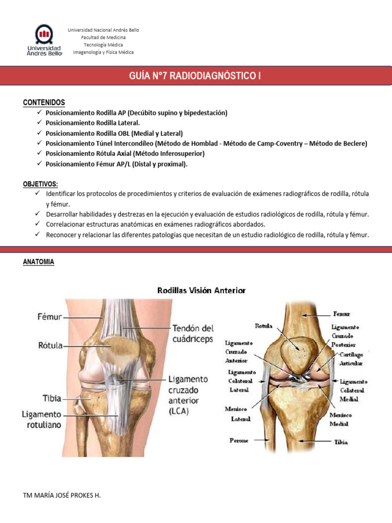 Protocolo Radiográfico de Rodilla | PDF | Rodilla | Extremidades (anatomía)