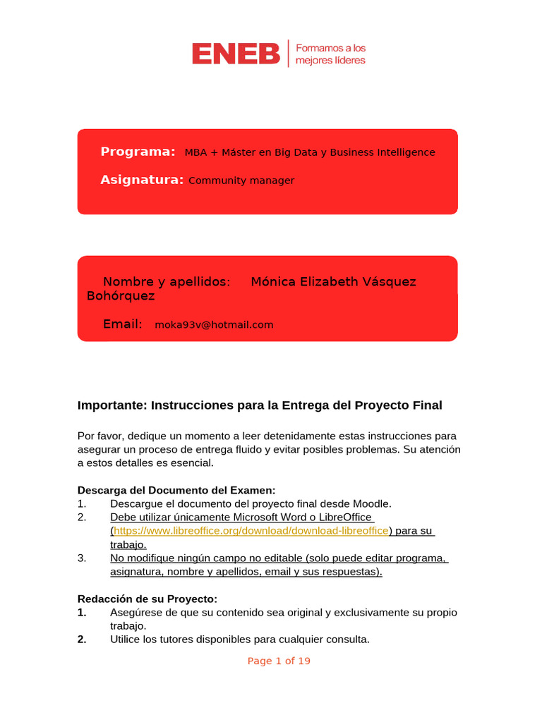Instrucciones Entrega Proyecto Final | PDF | Business