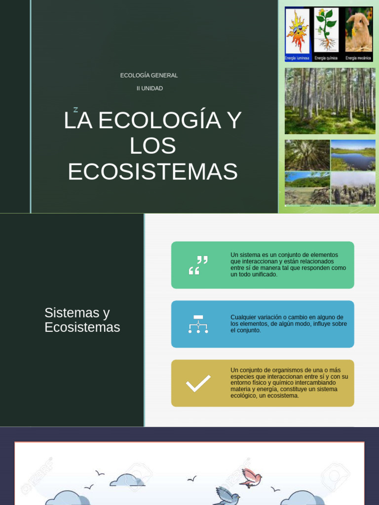 Ecosistemas: Energía y Dinámica | PDF | Producción primaria | Ecología