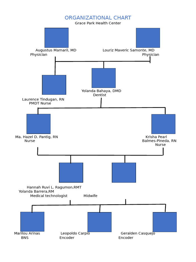 Organizational Chart | PDF