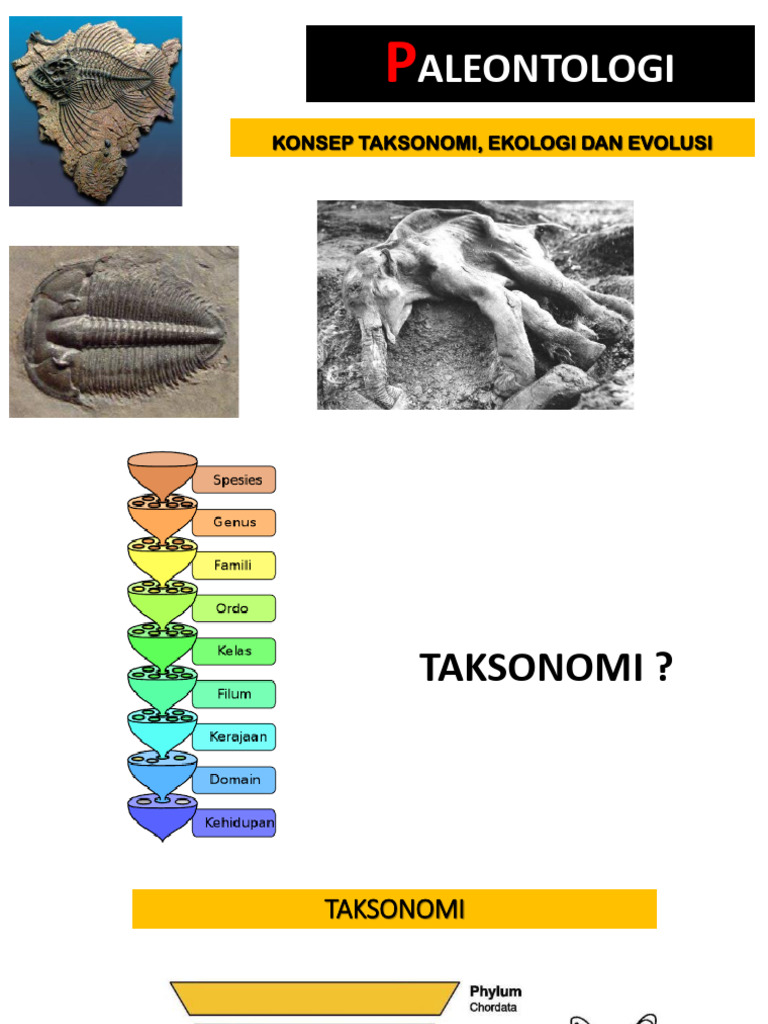 Konsep Taksonomi dalam Paleontologi | PDF | Ilmu Sosial | Kesehatan ...
