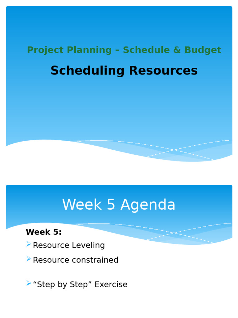 C5 MGMT8360 Resource Levelling | PDF | Business