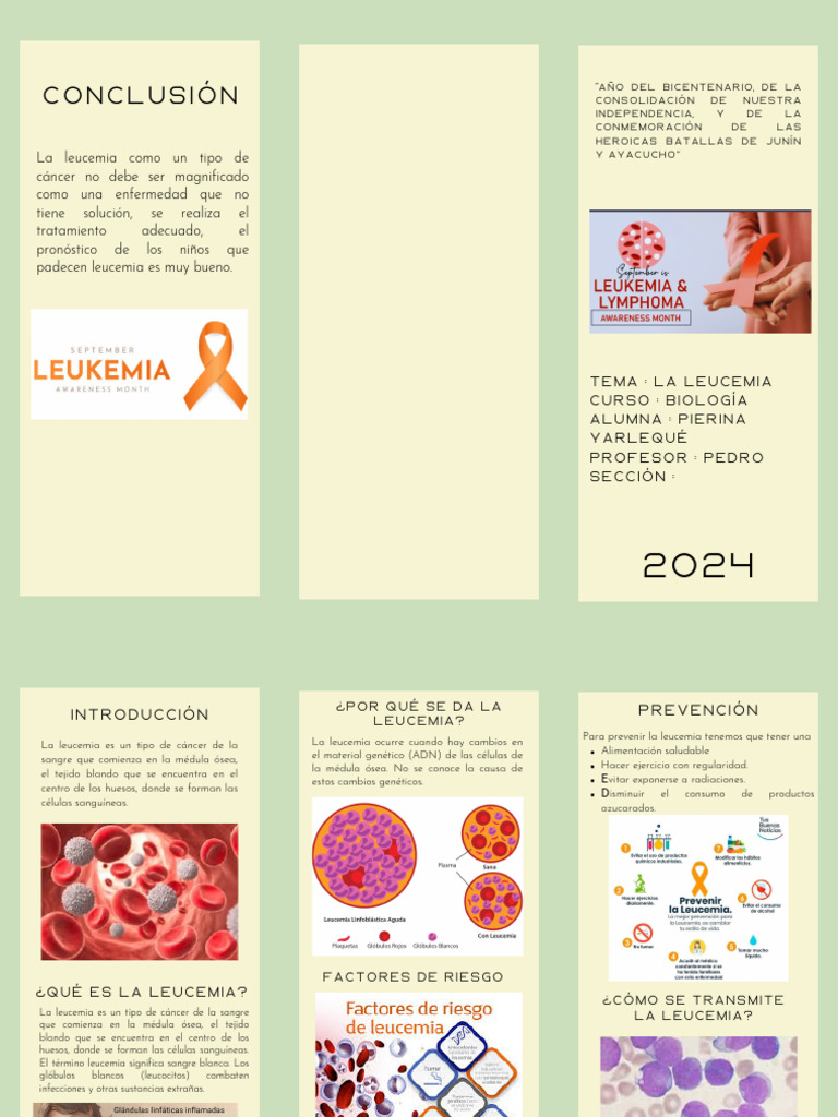 Tríptico | PDF | Leucemia | Sangre