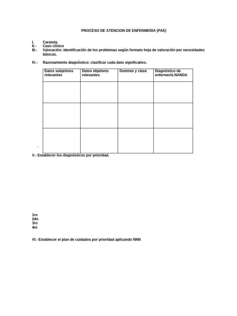 Formato Pae 2024 | PDF