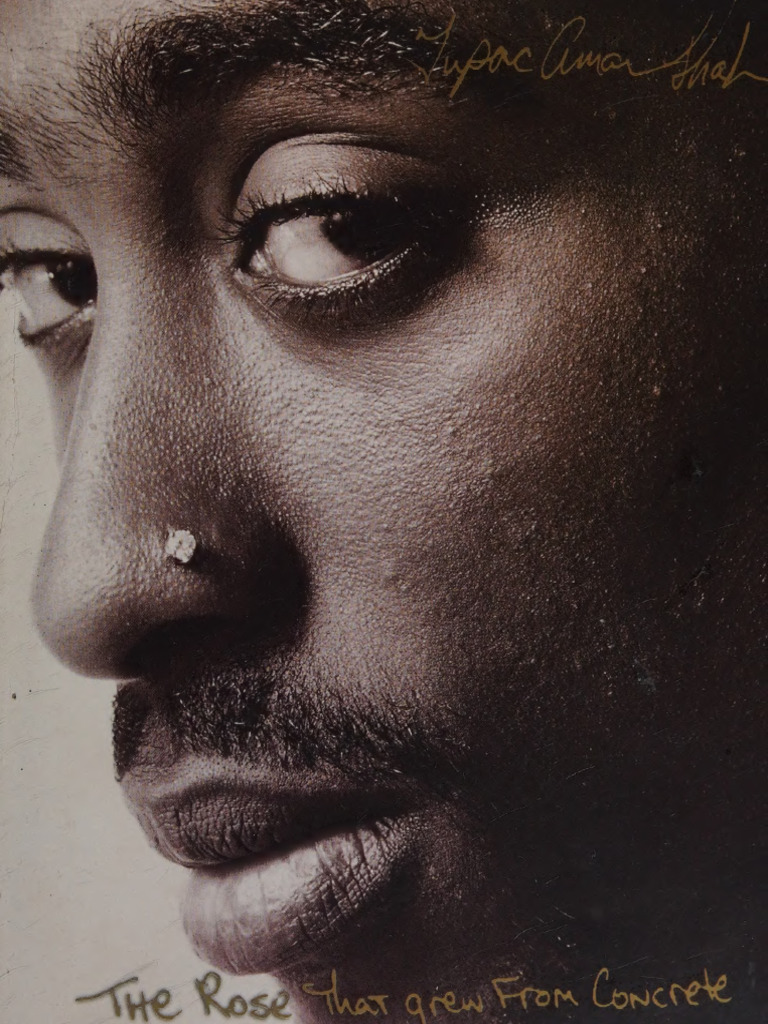 The Rose That Grew From Concrete - Tupac Shakur | PDF