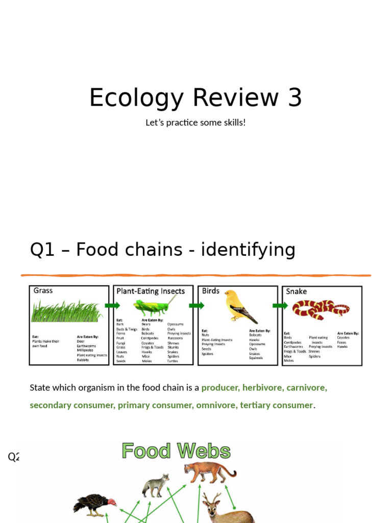 Ecology Review: Food Chains & Kingdoms | PDF | Taxa | Nature