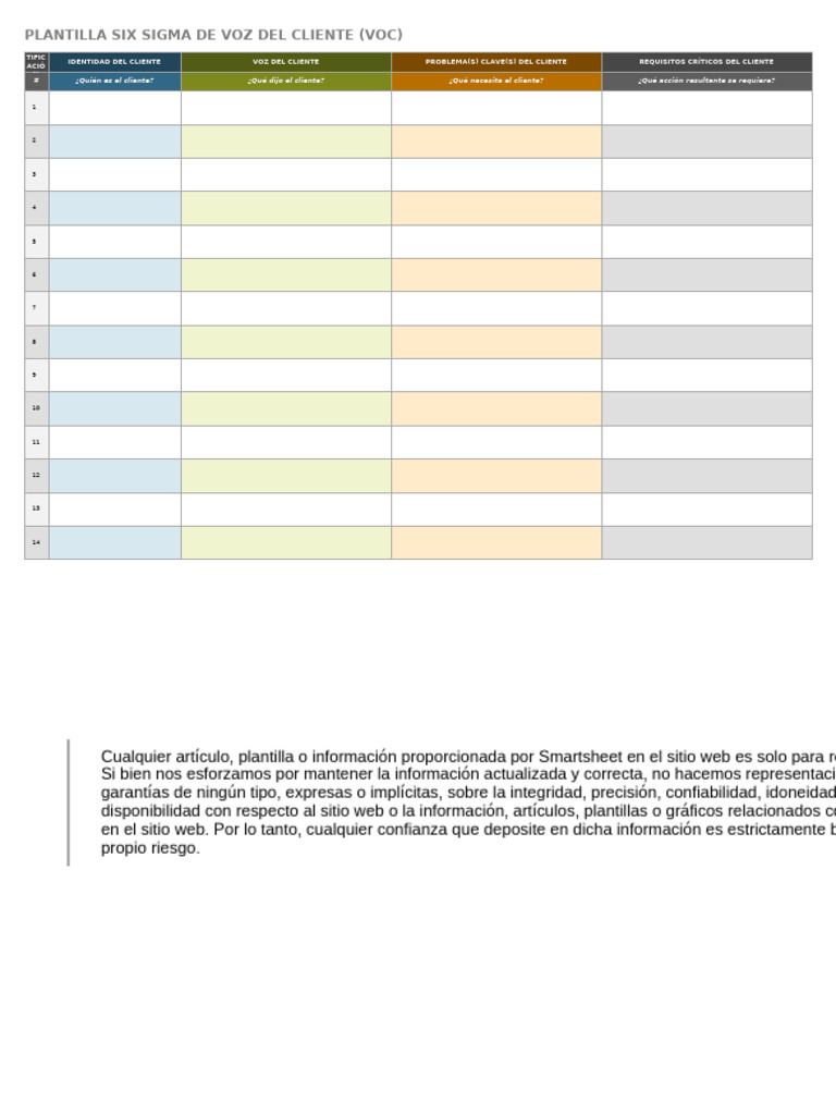 Plantilla Six Sigma: Voz del Cliente | PDF | Negocios | Finanzas y dinero
