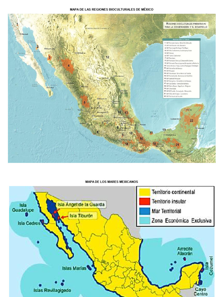 Mapa de Las RBM | PDF