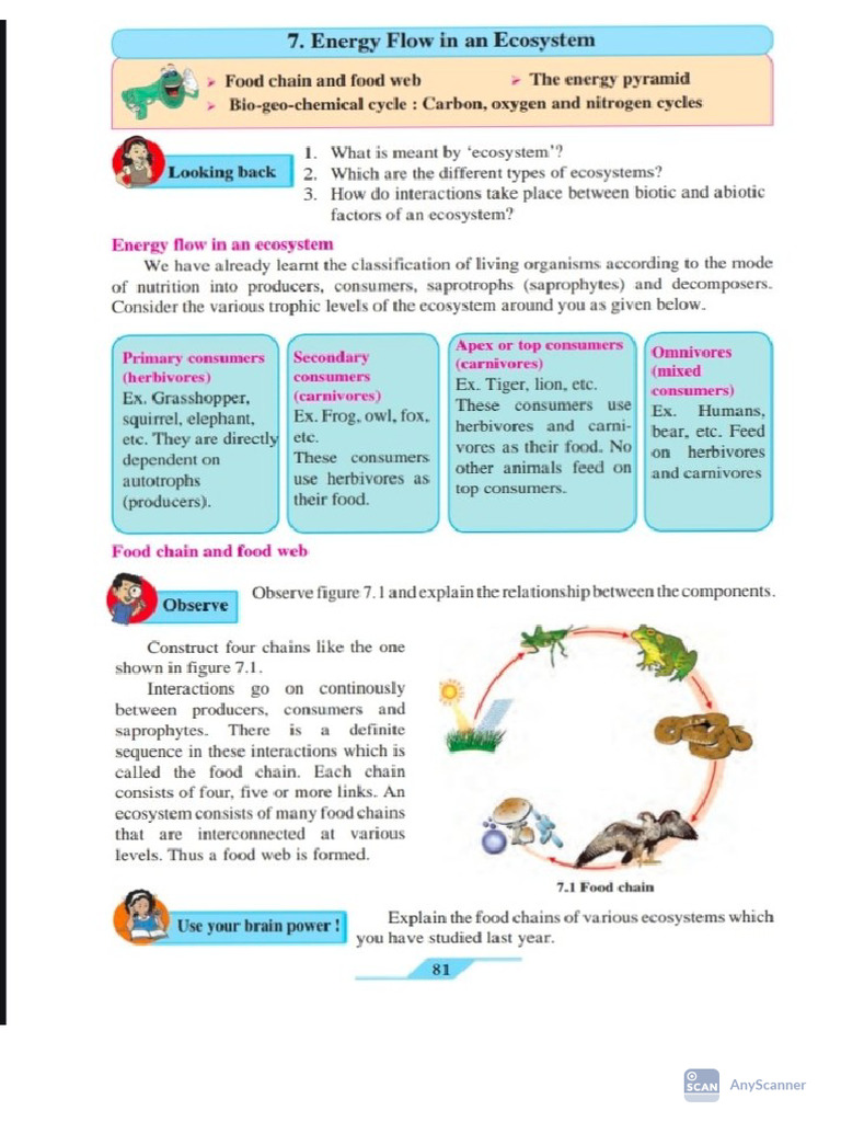 Science 2 | PDF