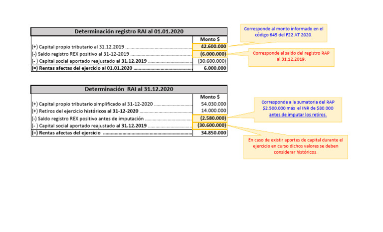 06 - Desarrollo - RAI - Inicial - y - RAI - Final | PDF | Negocios | Finanzas y administración ...