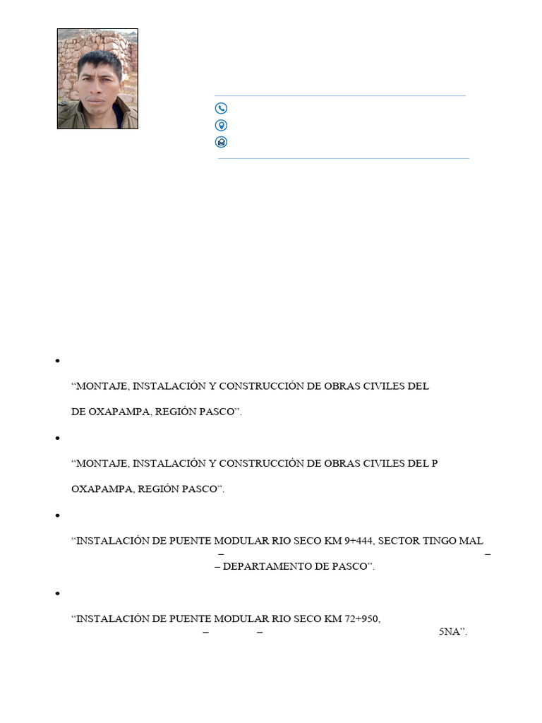 Curriculum - Mario Vargas | PDF