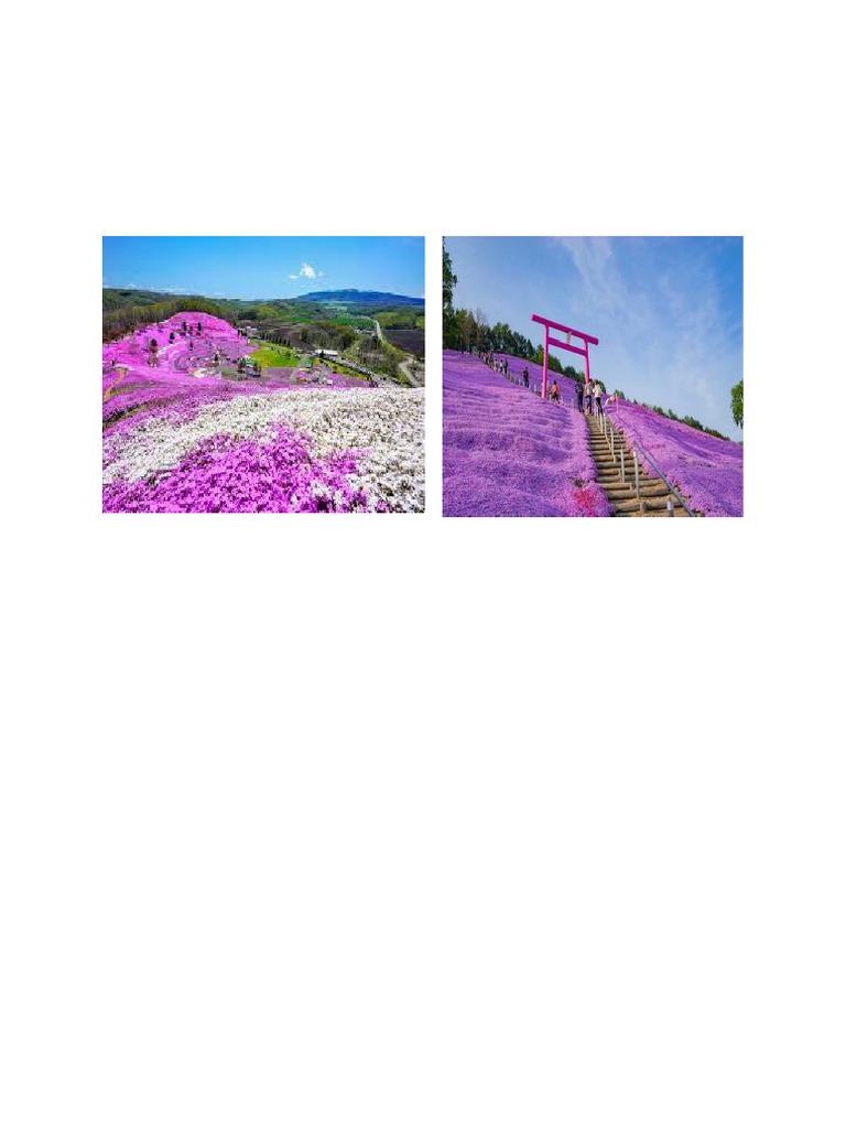 Brylle Lakbay Sanaysay | PDF