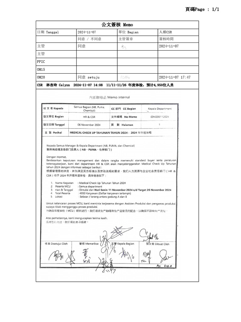 Memo Annual MCU 2024 | PDF