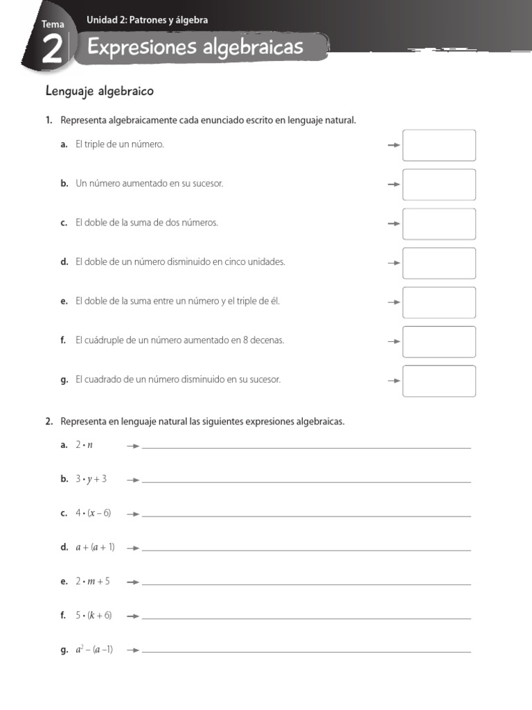 (Matemáticas) Guía 5. Términos Algebraicos 6to Básico | PDF | Matemáticas