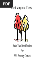 Tennessee Tree Identification Guide | PDF | Trees | Oak