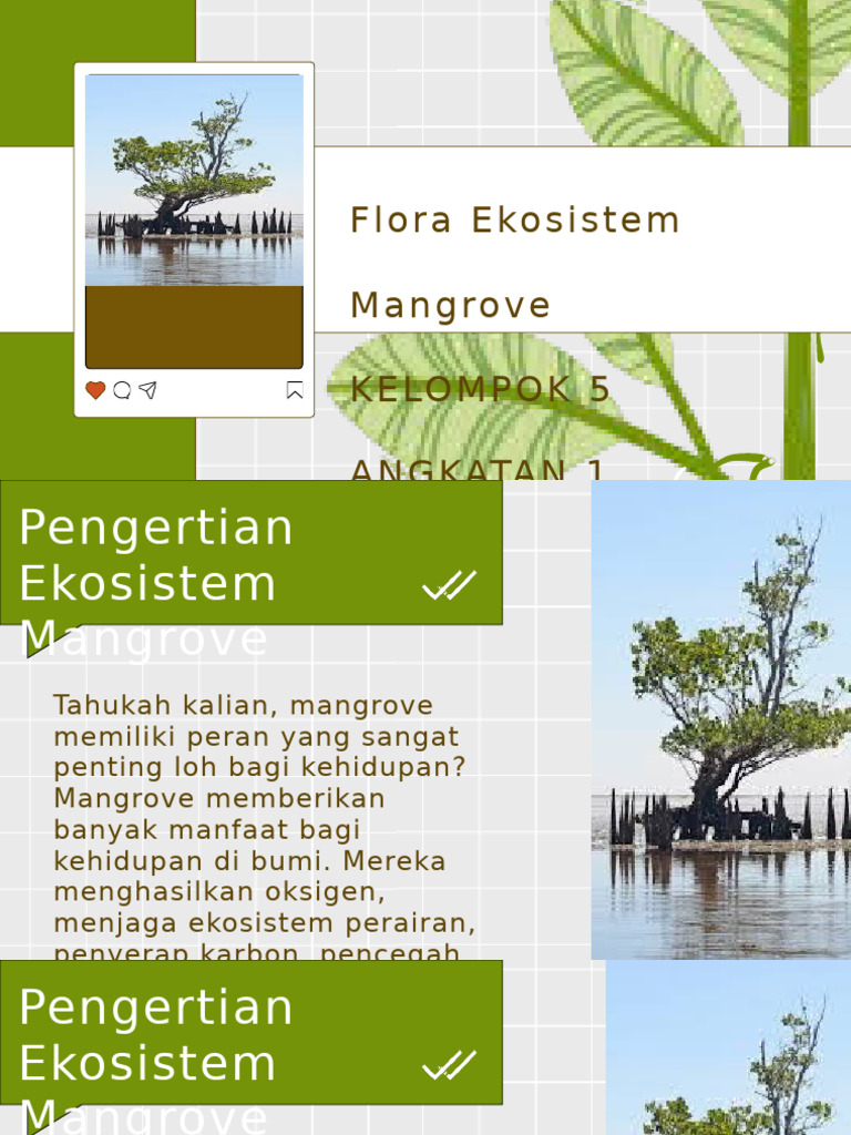Jenis-Jenis Flora Ekosistem Mangrove | PDF