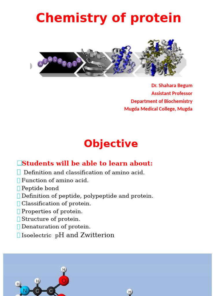 Chemistry of Protein-2, by Dr. Shahara Begum | PDF | Amino Acid | Proteins
