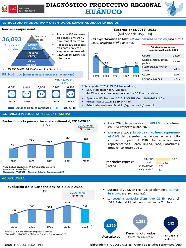 Ficha Diagnastico Hu-Nuco-2023 22.02.2024 | PDF