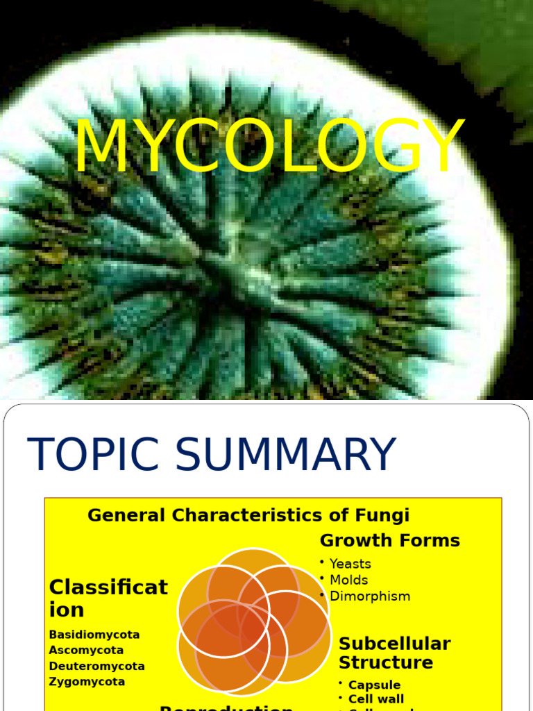 Medical Mycology Edited | PDF | Sexual Reproduction | Fungus