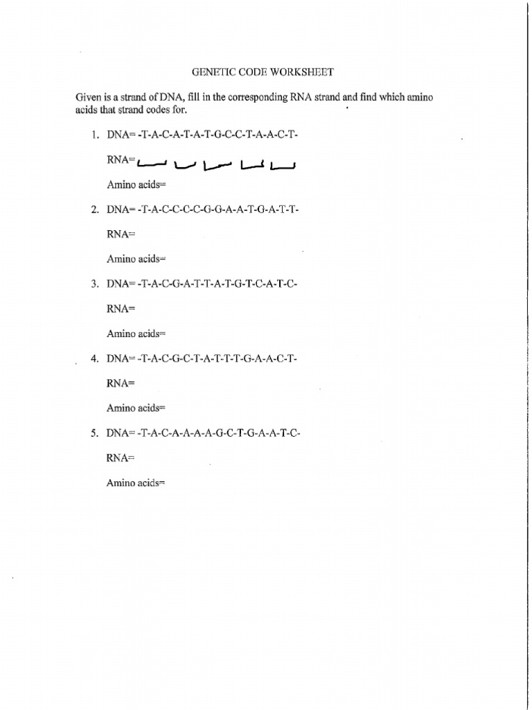 Genetic Code Worksheets | PDF