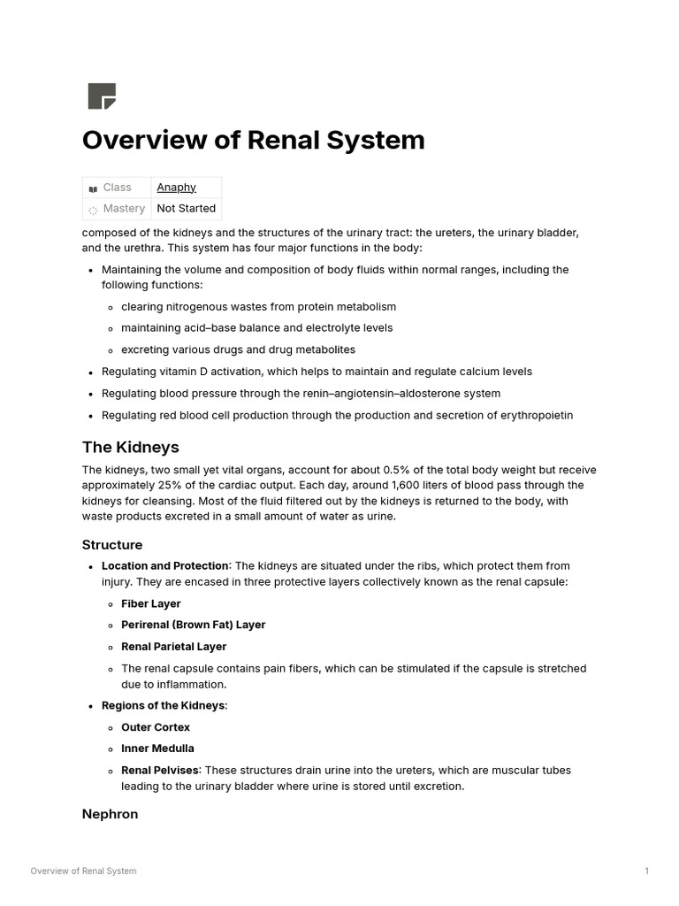 Overview of Renal System | PDF | Kidney | Angiotensin