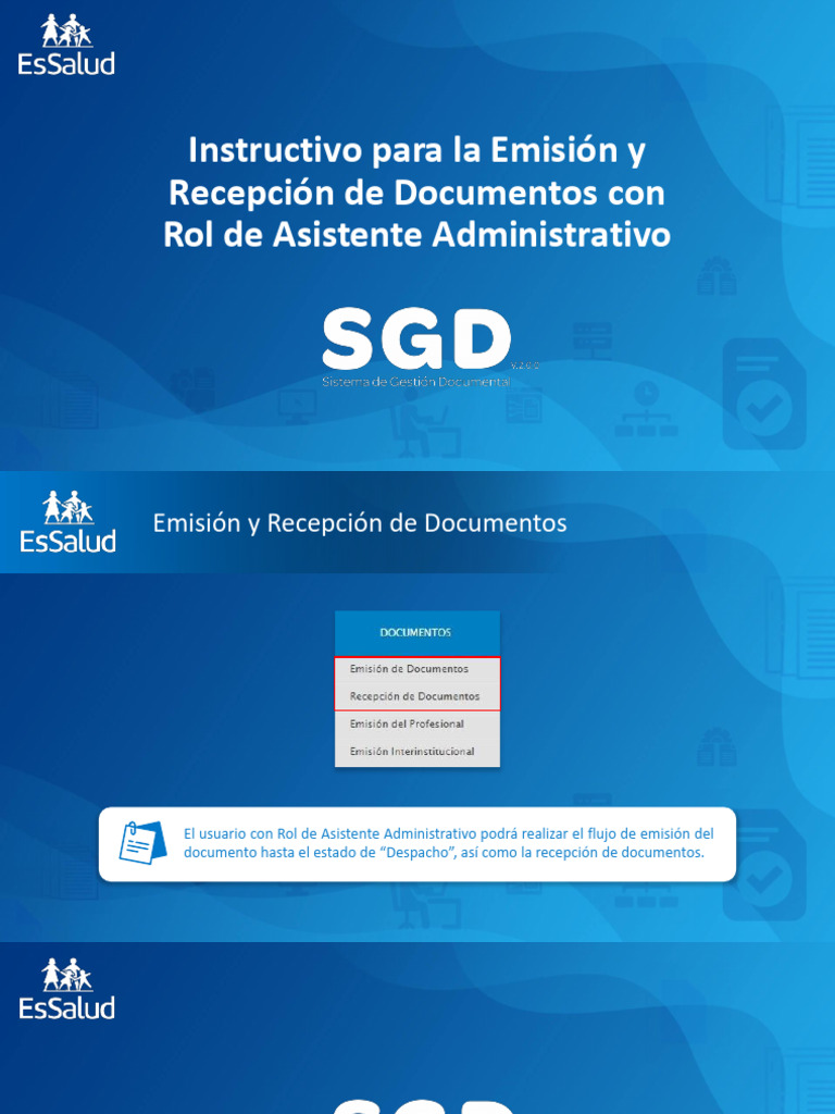 Instructivo de Emisión y Recepción de Documentos | PDF | Informática | Software