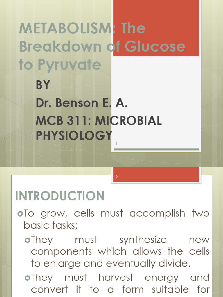 Lecture 3 Metabolism Slides | PDF | Metabolism | Glycolysis