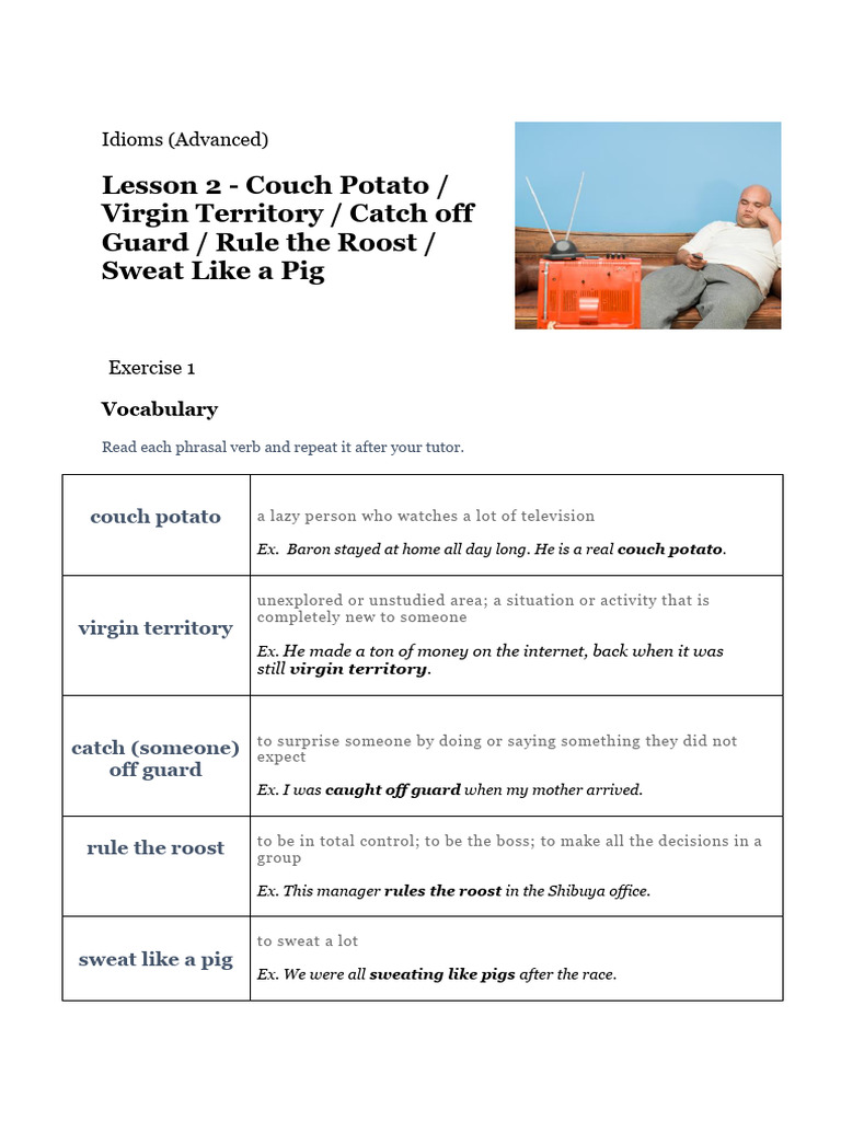 Idioms Lesson 2 | PDF