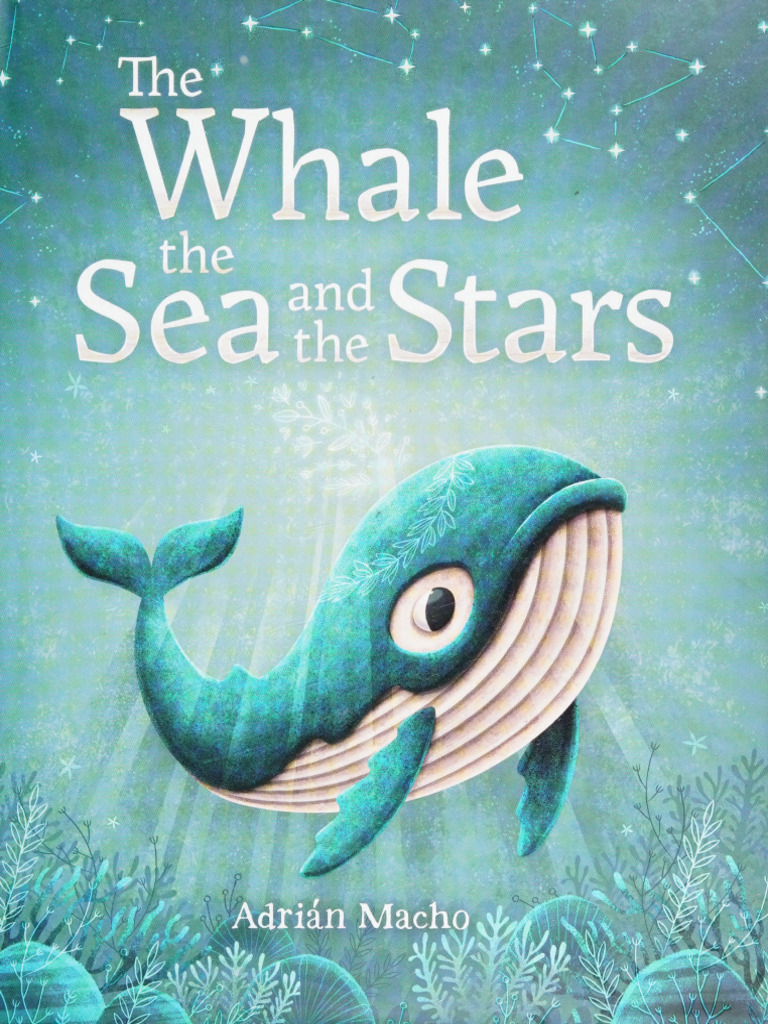 The Whale, The Sea and The Stars - Macho, Adrián, Author, Illustrator ...