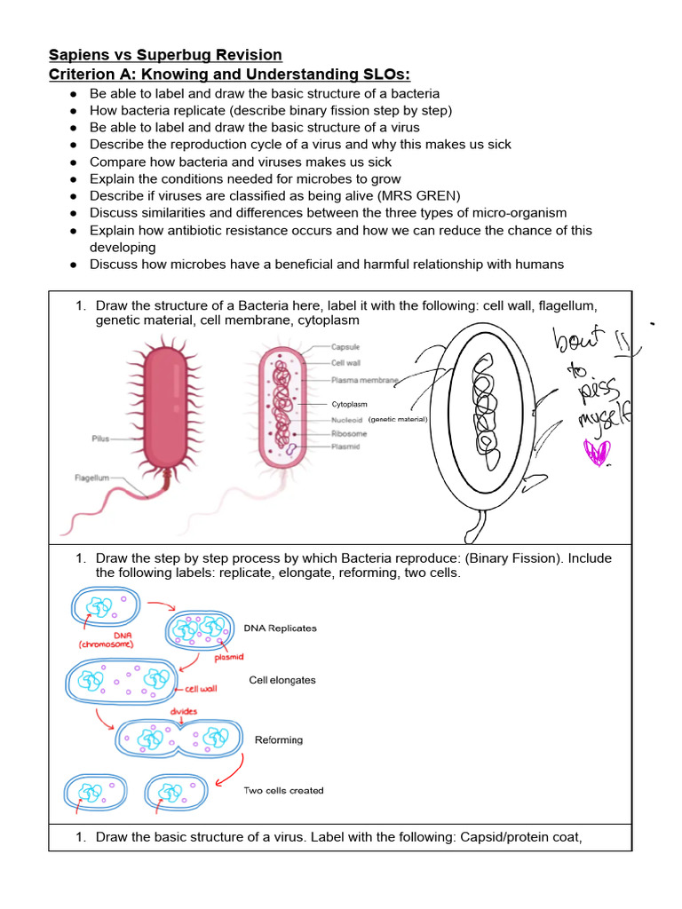 SVS Revision Booklet 2024 (Answers) | PDF | Virus | Bacteria