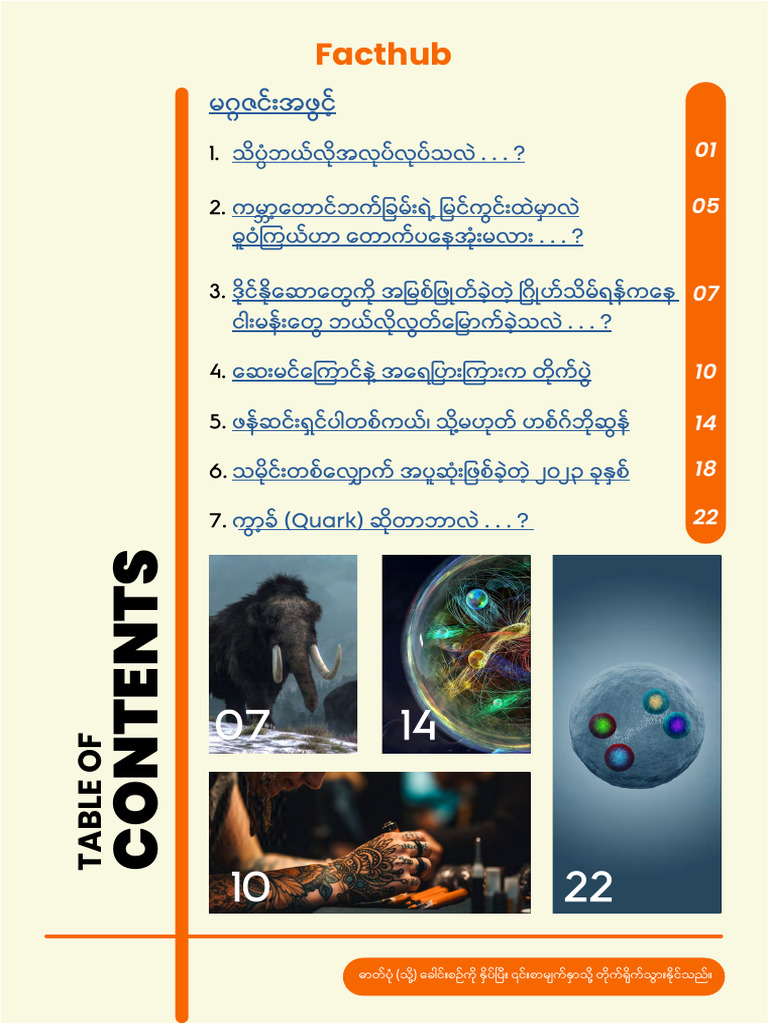 Sample of Single Yellow | PDF